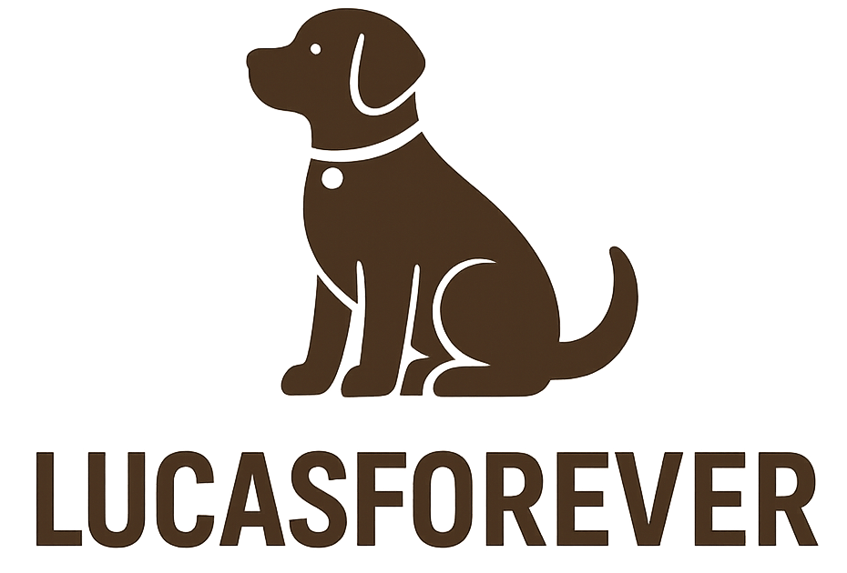 LUCASFOREVER - 루카스 패밀리 | 반려동물을 위한 종합 서비스